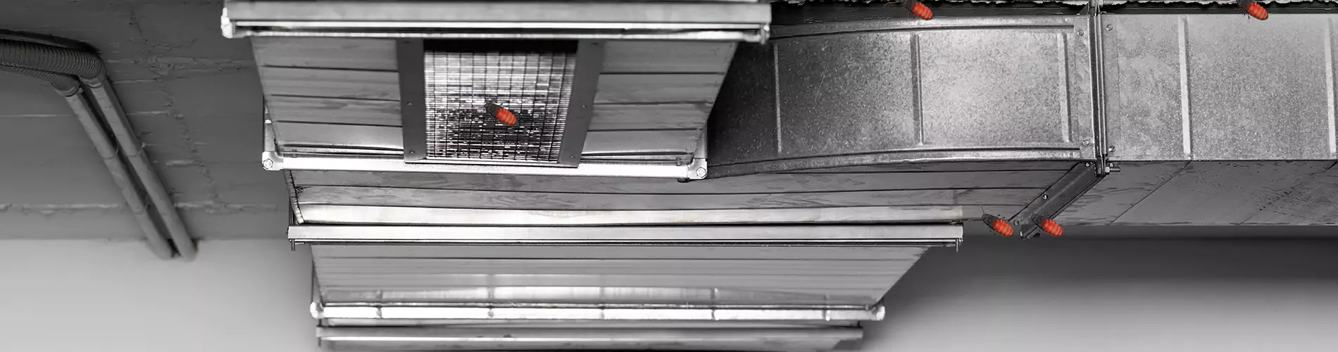 Insect Removal from Air Ducts in Baltimore, MD | Clean & Pest-Free Vent ...